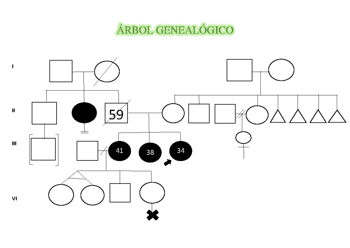 Árbol Genealógico - Genética - ÁRBOL GENEALÓGICO 59 41 38 34 I II III ...