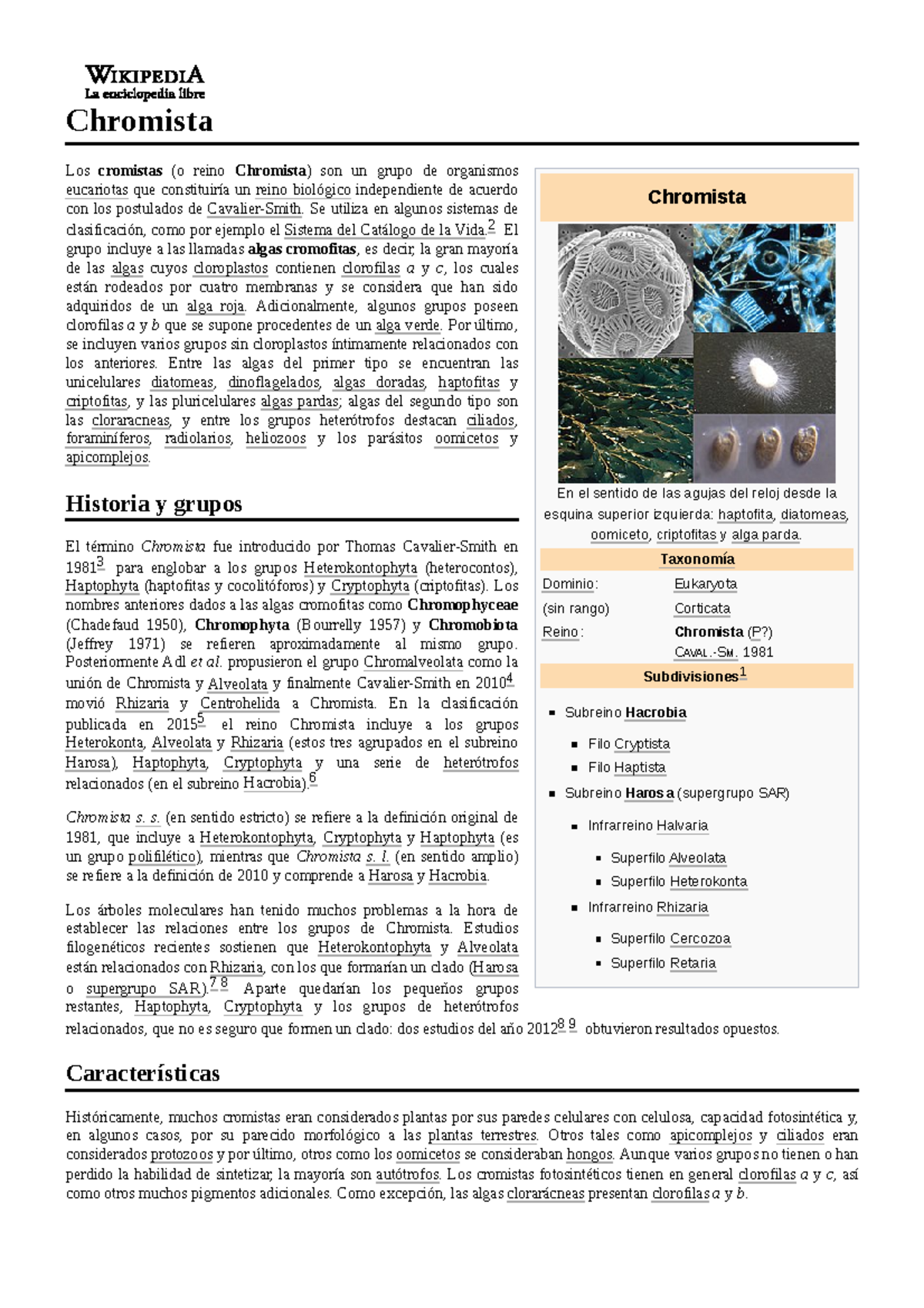 Chromista - Se ve todo tipo de biologia de plantas. - Chromista En el ...