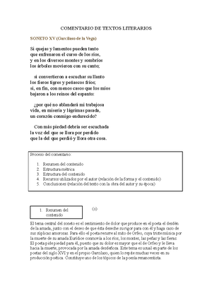 El ultimo trabajo del señor Luna - TRABAJO DE LENGUA EL ÚLTIMO TRABAJO ...