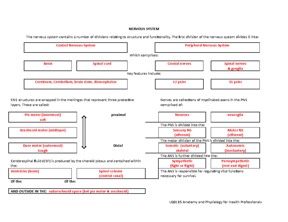 Wk 3. Nervous worksheet - NERVOUS SYSTEM The nervous system contains a ...