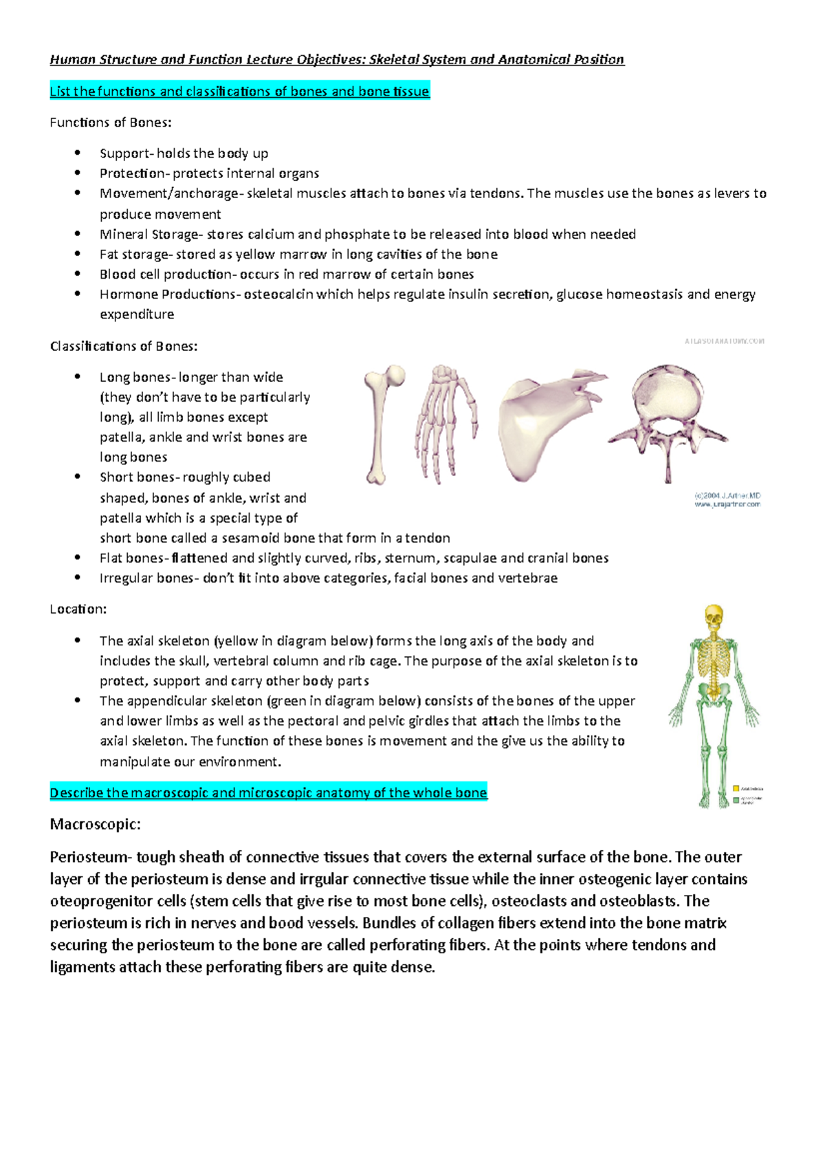 HLTH1000 Skeletal system - Human Structure and Function Lecture Objectives: Skeletal System and ...