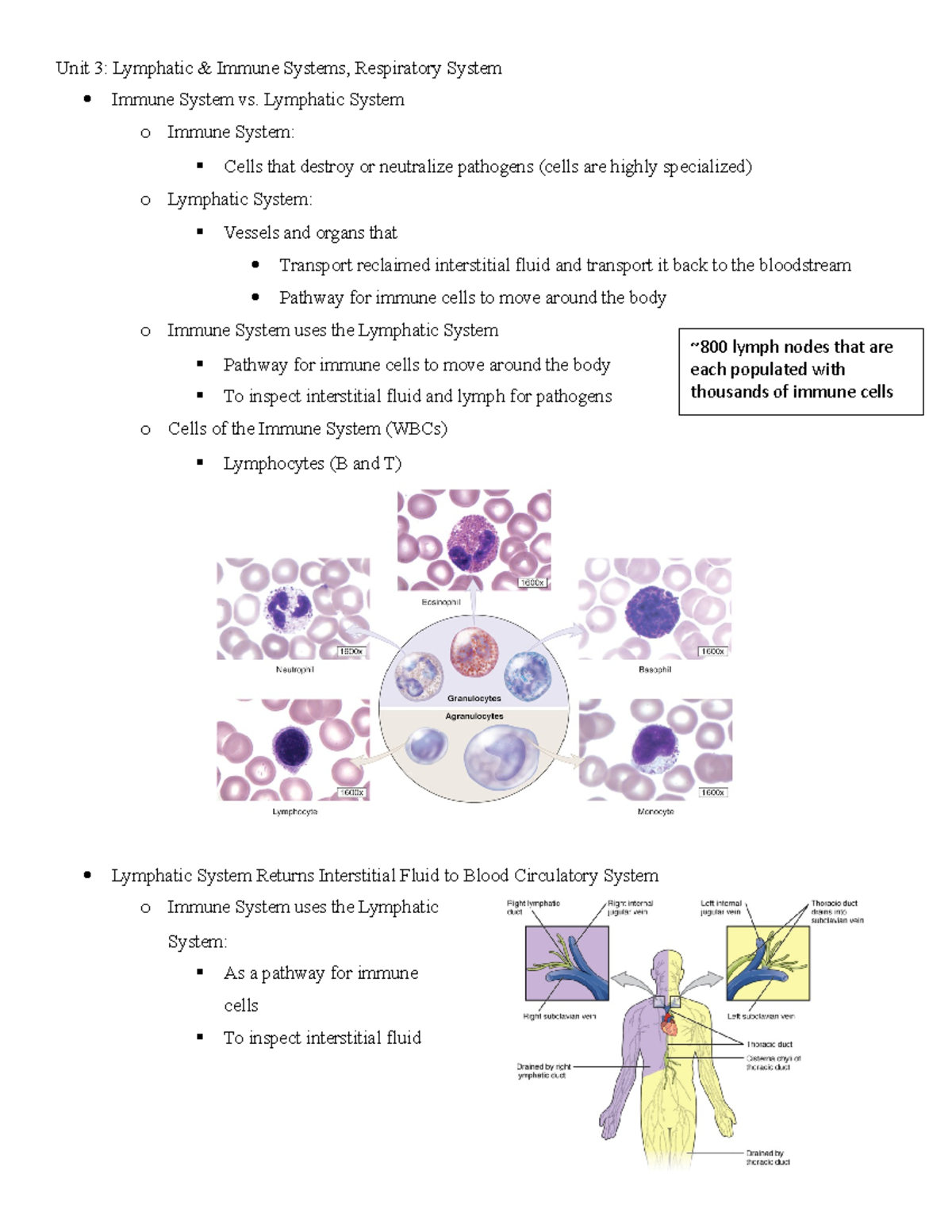 BIO 202- Lymphatic & Immune Systems & Respiratory System - Unit 3 ...