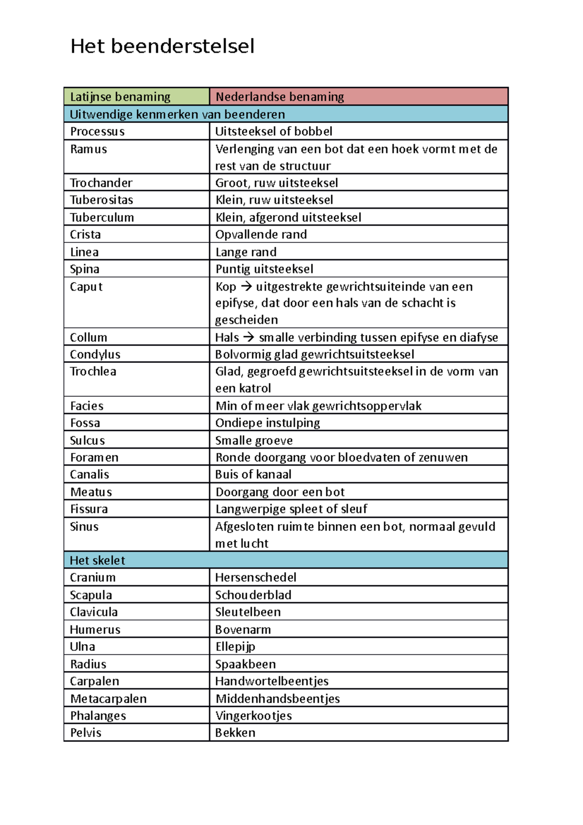 Lijst-beenderstelsel - Latijnse benaming Nederlandse benaming ...