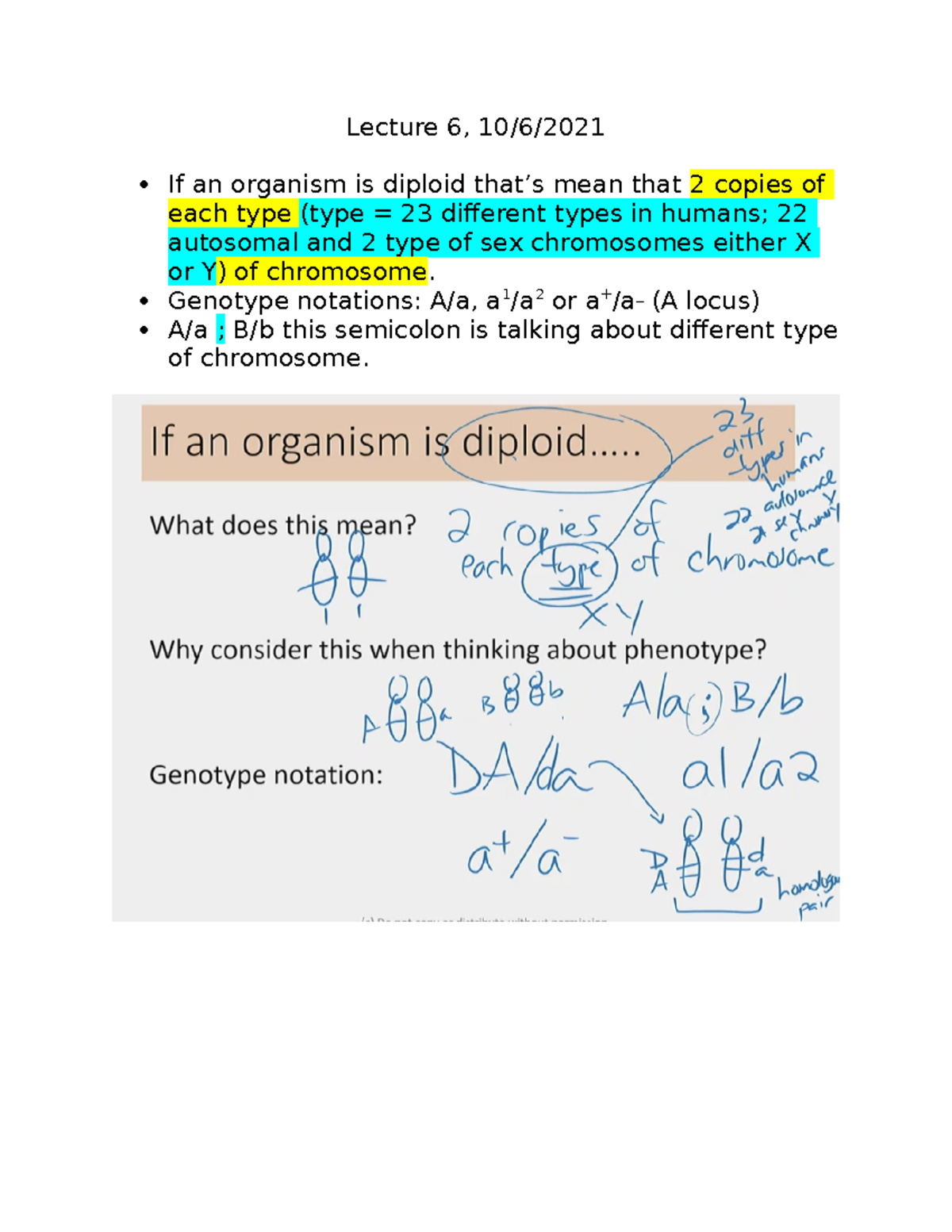 Genotype notations - Mitosis and meiosis - Lecture 6, 10/6/ If an ...