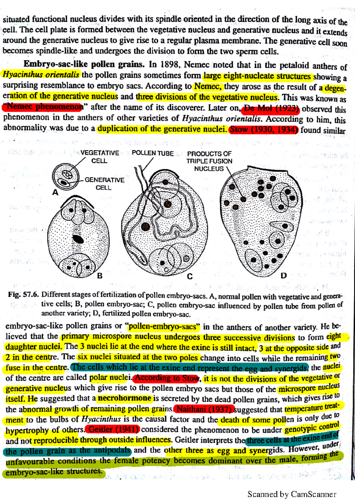 Pollen Embryo Sac - GOOD - Company Law - Scanned by CamScanner - Studocu