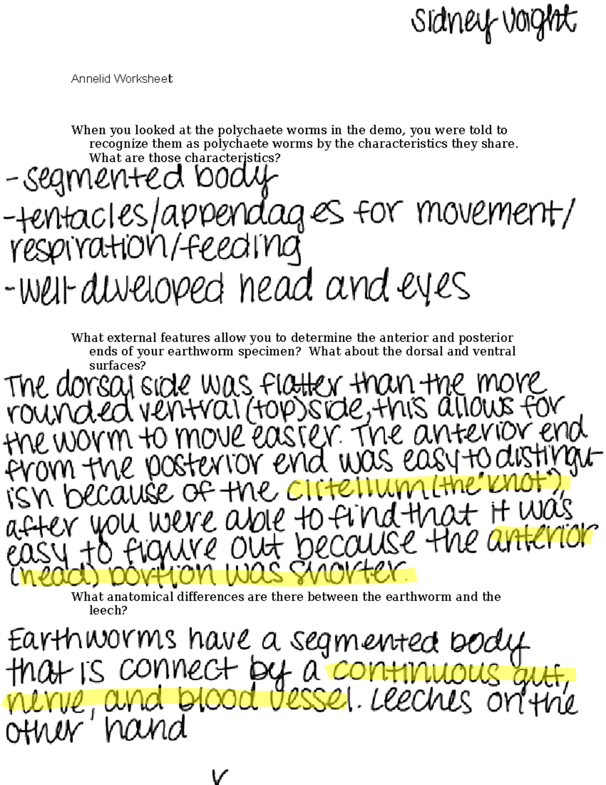 Lab 5 Annelid Worksheet - Annelid Worksheet When you looked at the ...