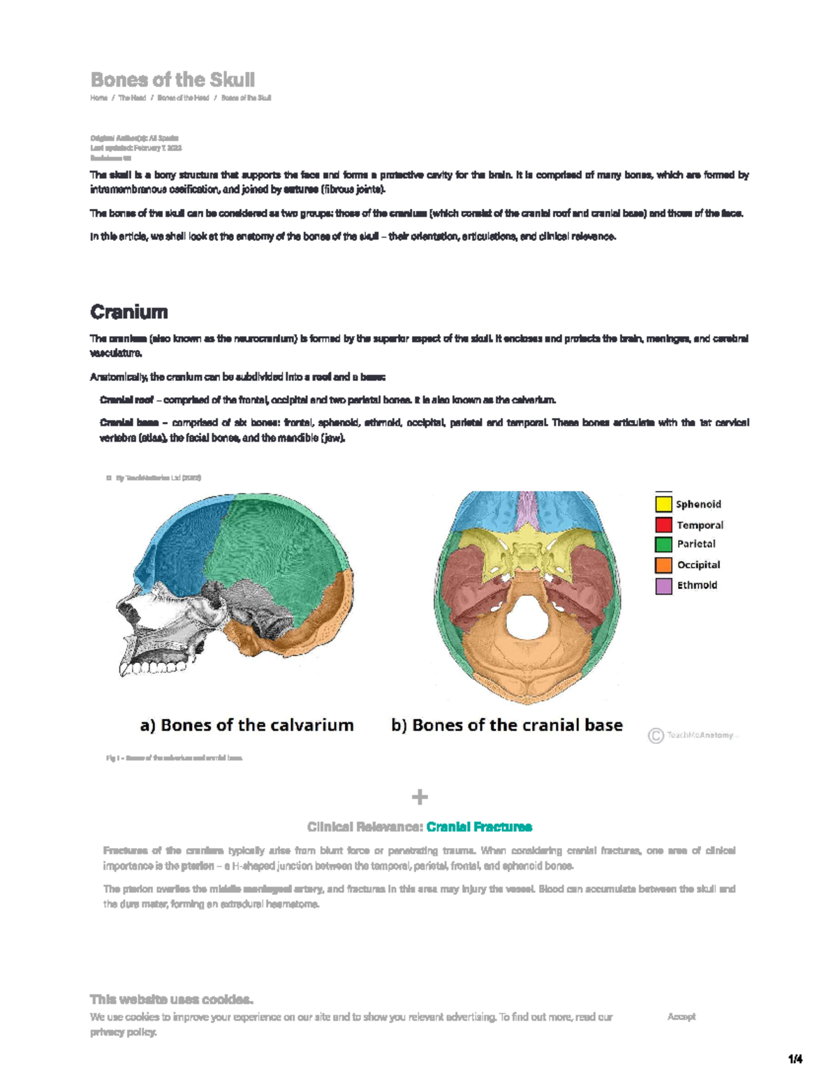 Bones - summary - Fundamentals Of Human Anatomy And Physiology - Studocu