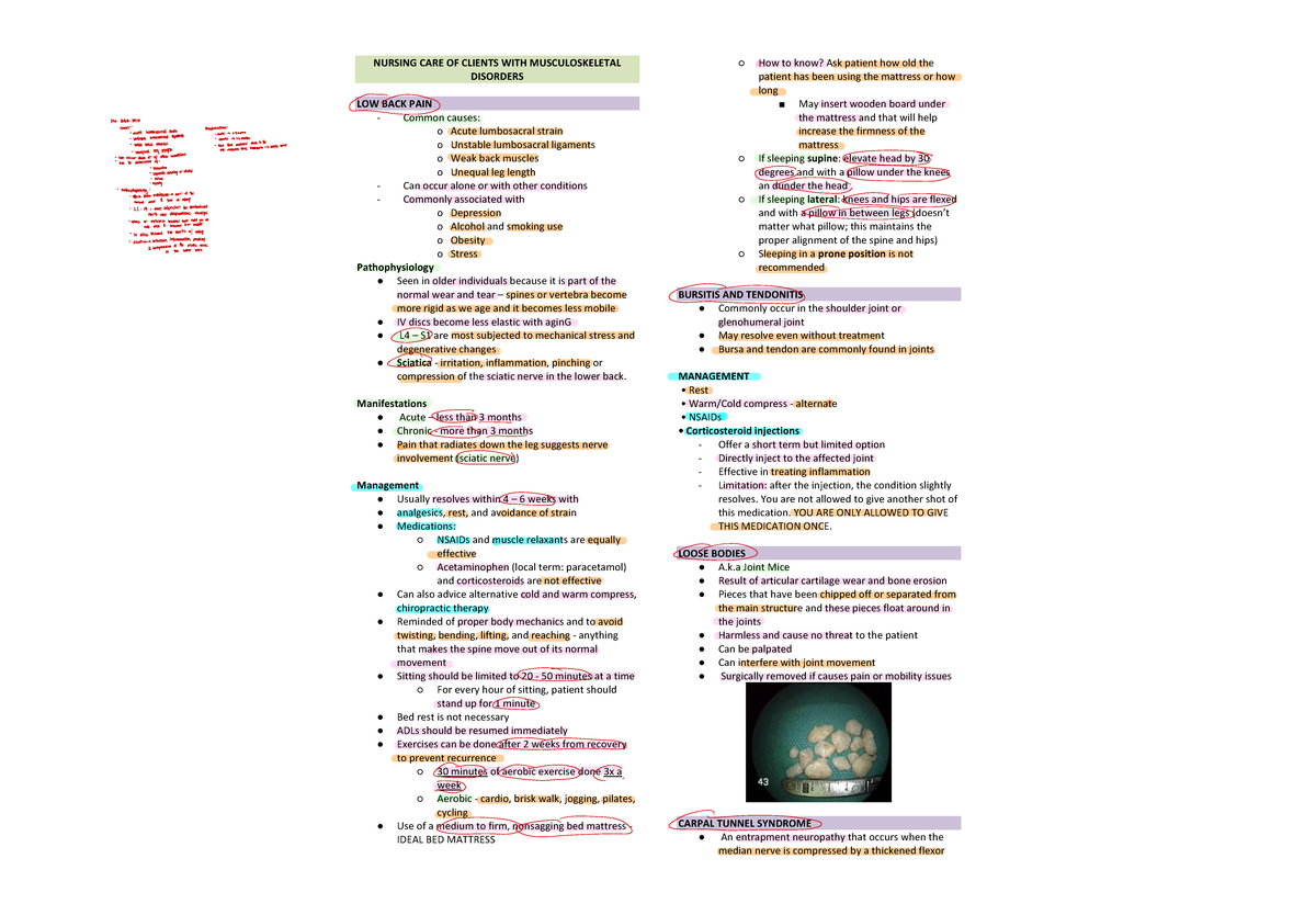 Musculo Disorders - Nursing notes - NURSING CARE OF CLIENTS WITH ...