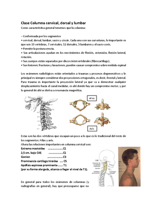 Clase 1 Imagenología Craneana - Topografía Craneana: El acantión es ...