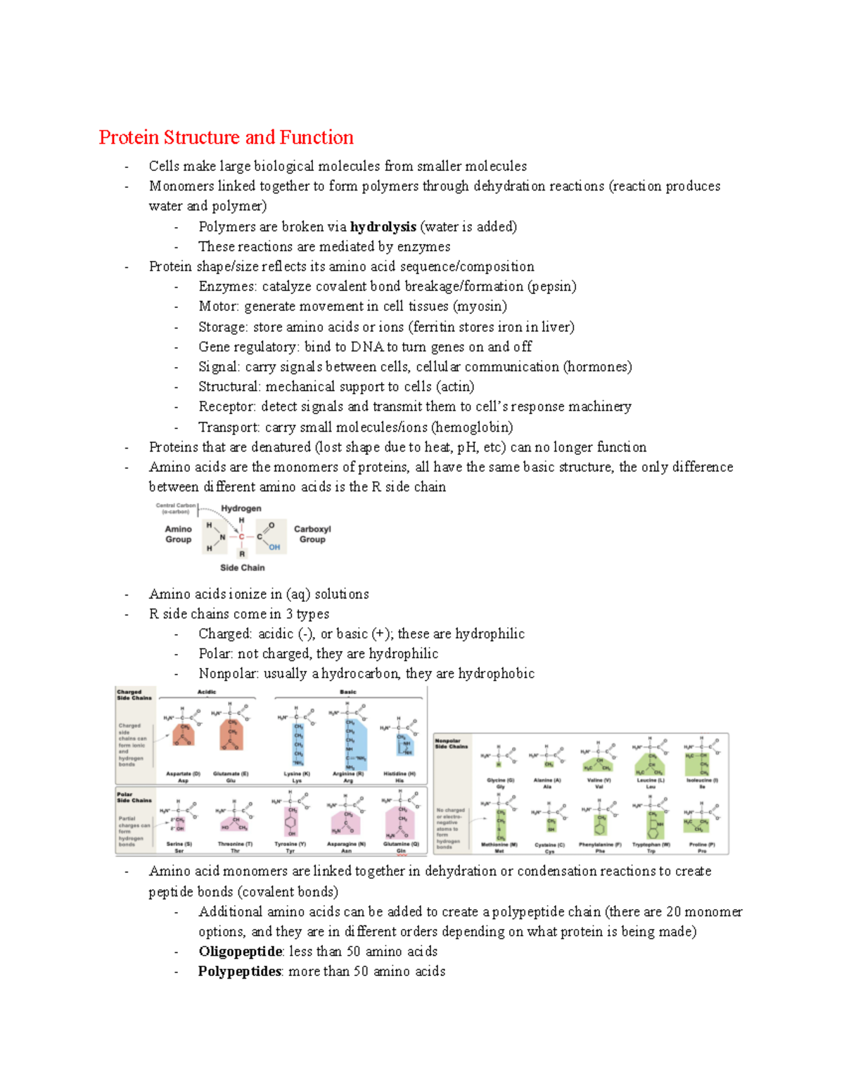 Protein Structure and Function - Protein Structure and Function Cells ...