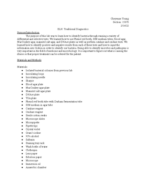 Micro Lab Cheat Sheet - Microscope: 1) Dial underneath on/off switch ...