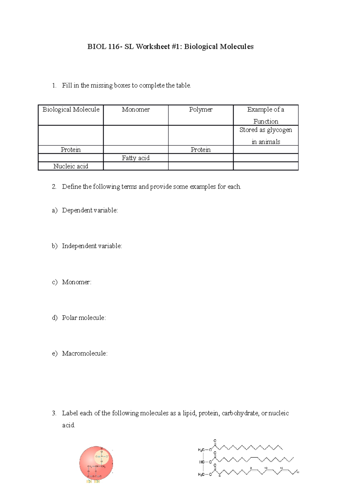 BIOL 116 Lecture notes - BIOL 116- SL Worksheet #1: Biological ...