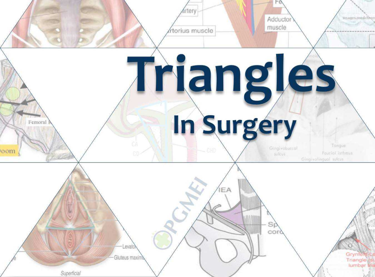 Triangles In Surgery - Shortnotes on important traingles of the body ...