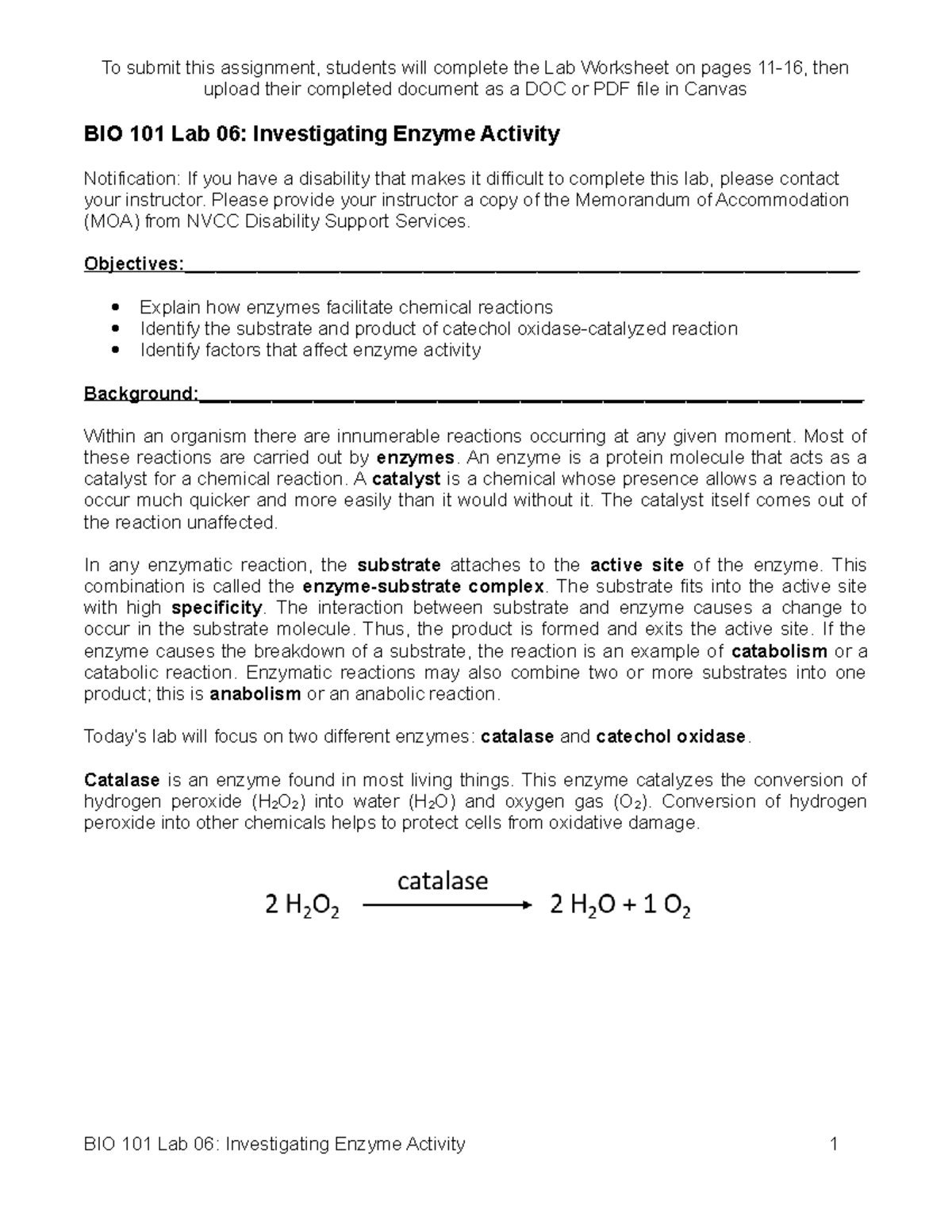 BIO 101 Lab 06, Enzymes-1 - upload their completed document as a DOC or ...