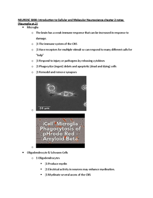 Neurosc 3000 (Dr.Kris Martens)Chapter 4-The Action Potential Notes Part ...