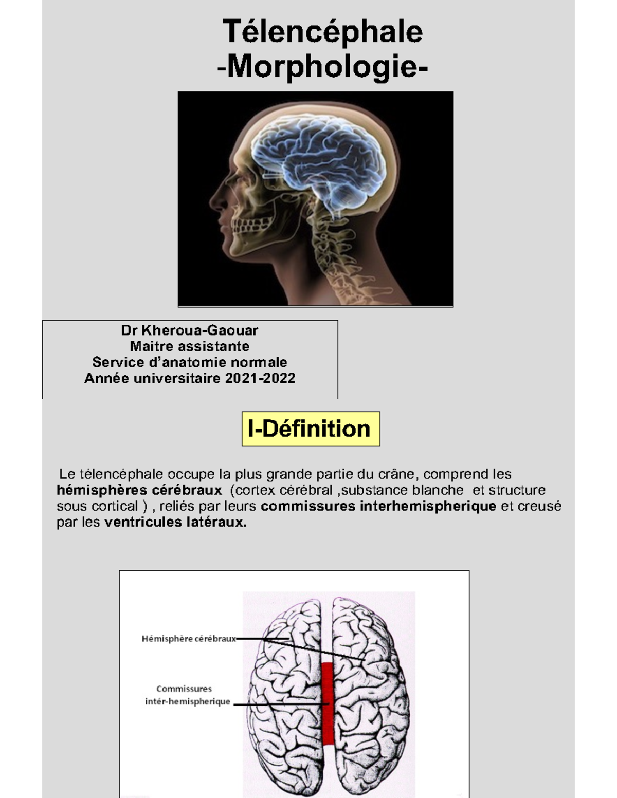 Télencéphale-Morphologie - Télencéphale Morphologie- Dr Kheroua-Gaouar ...
