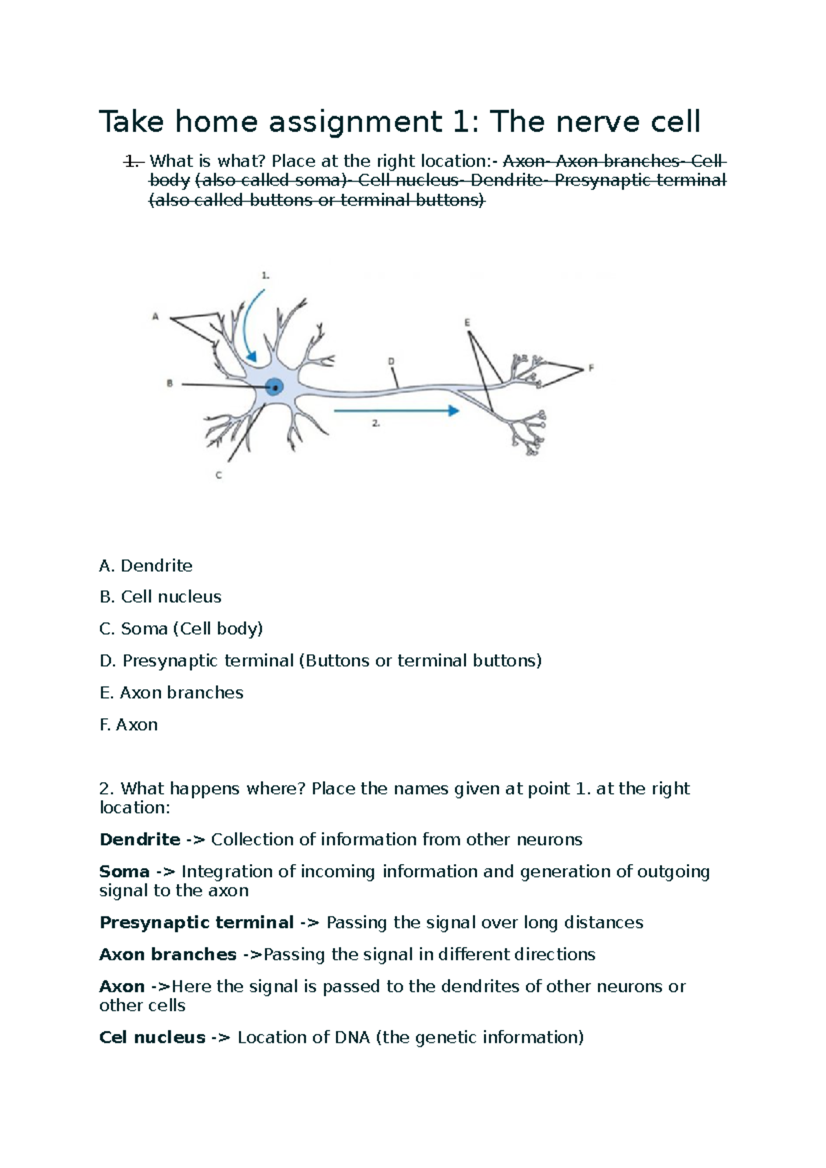 1.2 Human body homework assignments - Take home assignment 1: The nerve ...