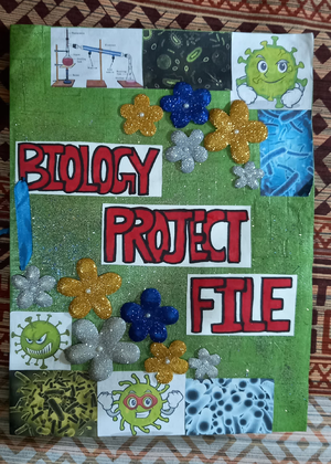 Biology class 12 microbes in human welfare - ASSAM RIFLES PUBLIC SCHOOL ...