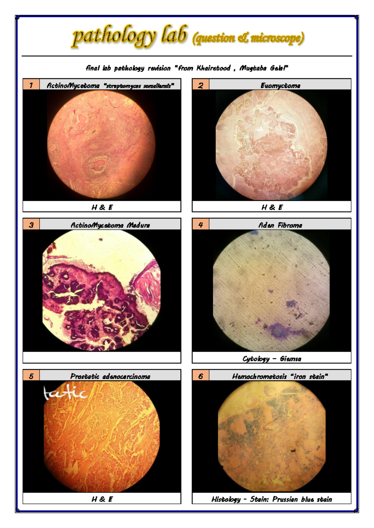 Pathology lab - Summary Physiology - final lab pathology revision “from ...