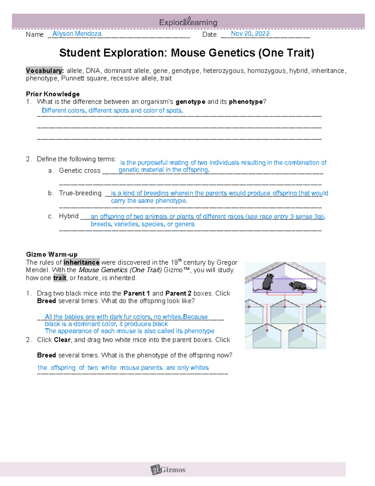 Mousegeneticsonetraitse - Name ...