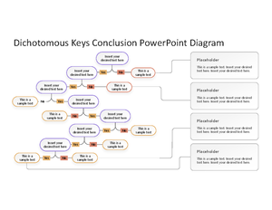 Dichotomous keys conclusion powerpoint diagram 1 - Dichotomous Keys ...