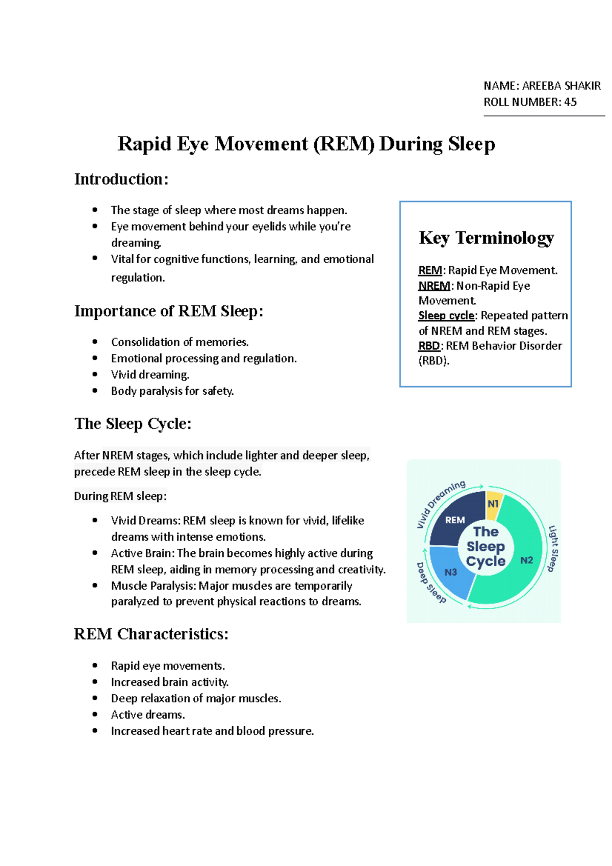 Rapid Eye Movement - pharmacy - Rapid Eye Movement (REM) During Sleep ...