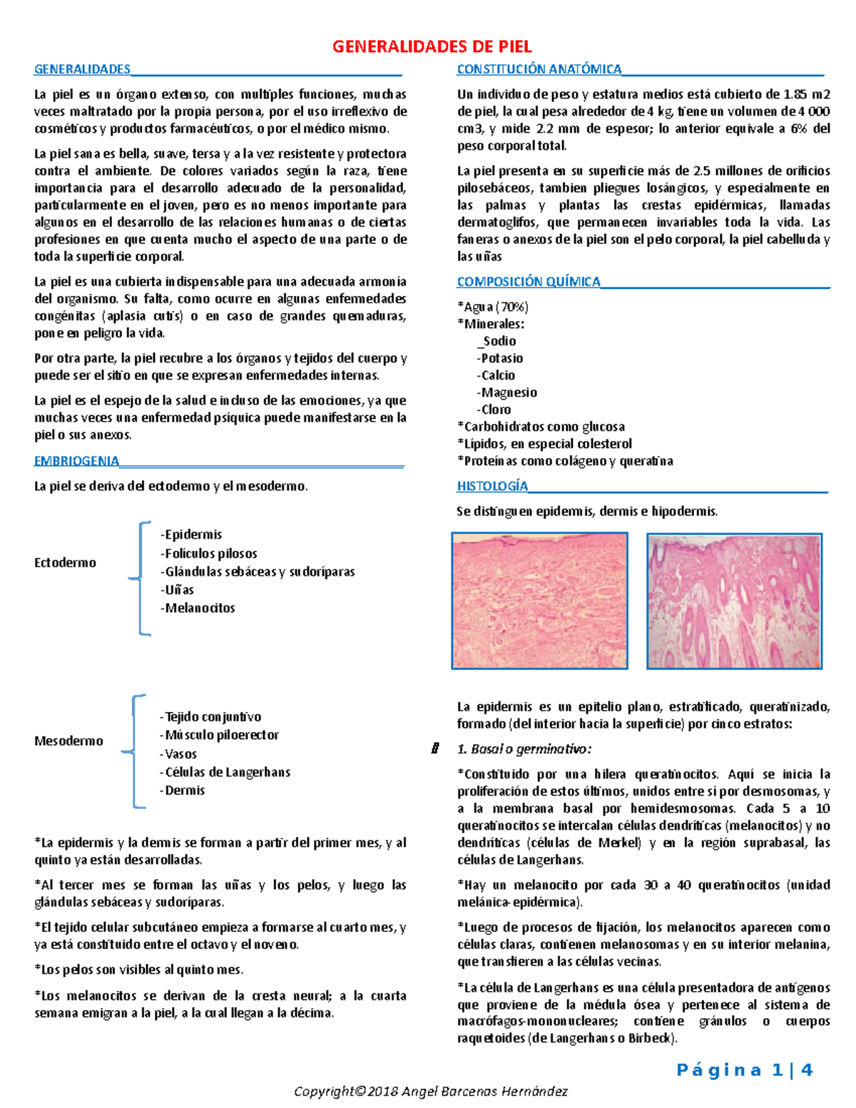 GENERALIDADES DE PIEL - Un individuo de peso y estatura medios cubierto ...