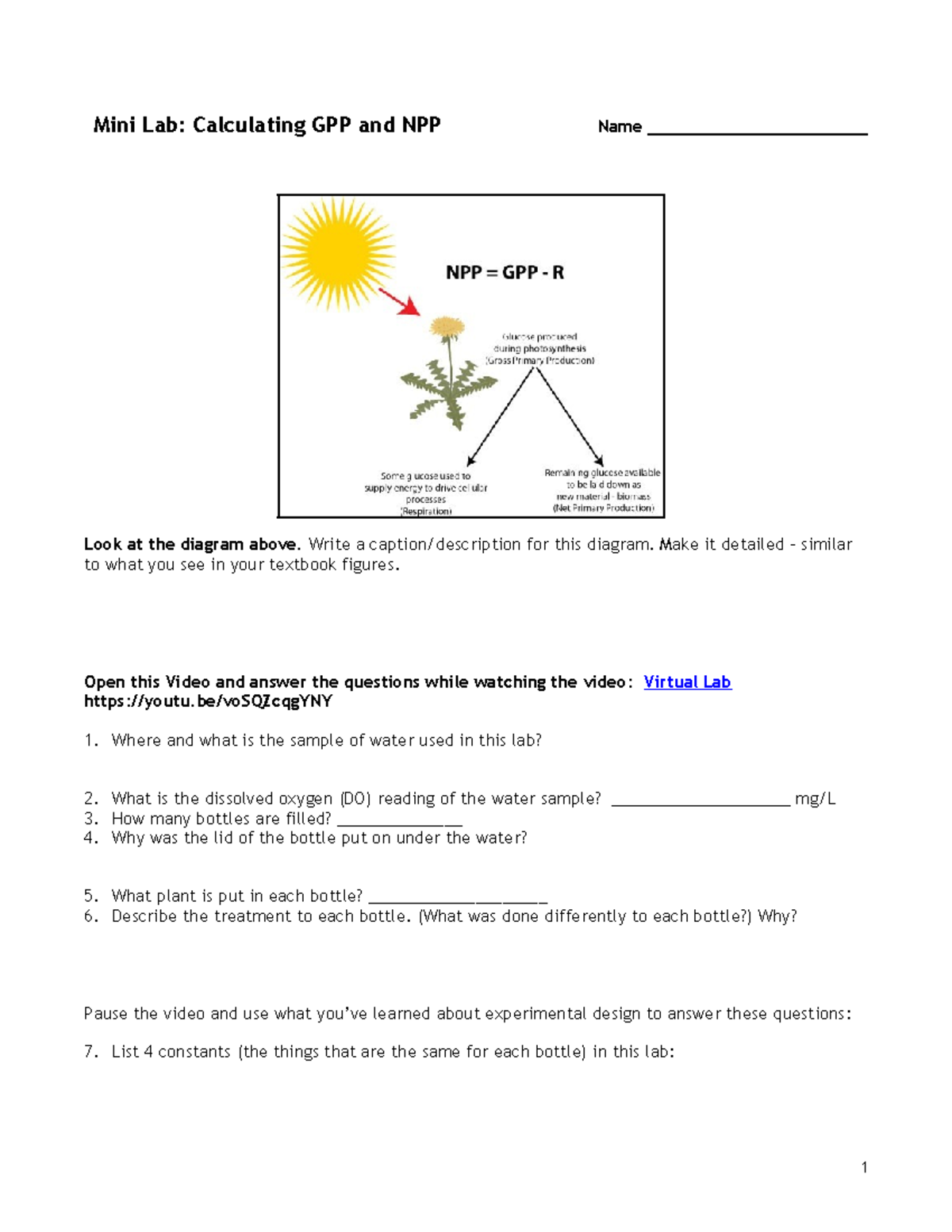 Mini Virtual Lab Calculating GPP and NPP Stone 2023 - Mini Lab: Calculating GPP and NPP Name ...