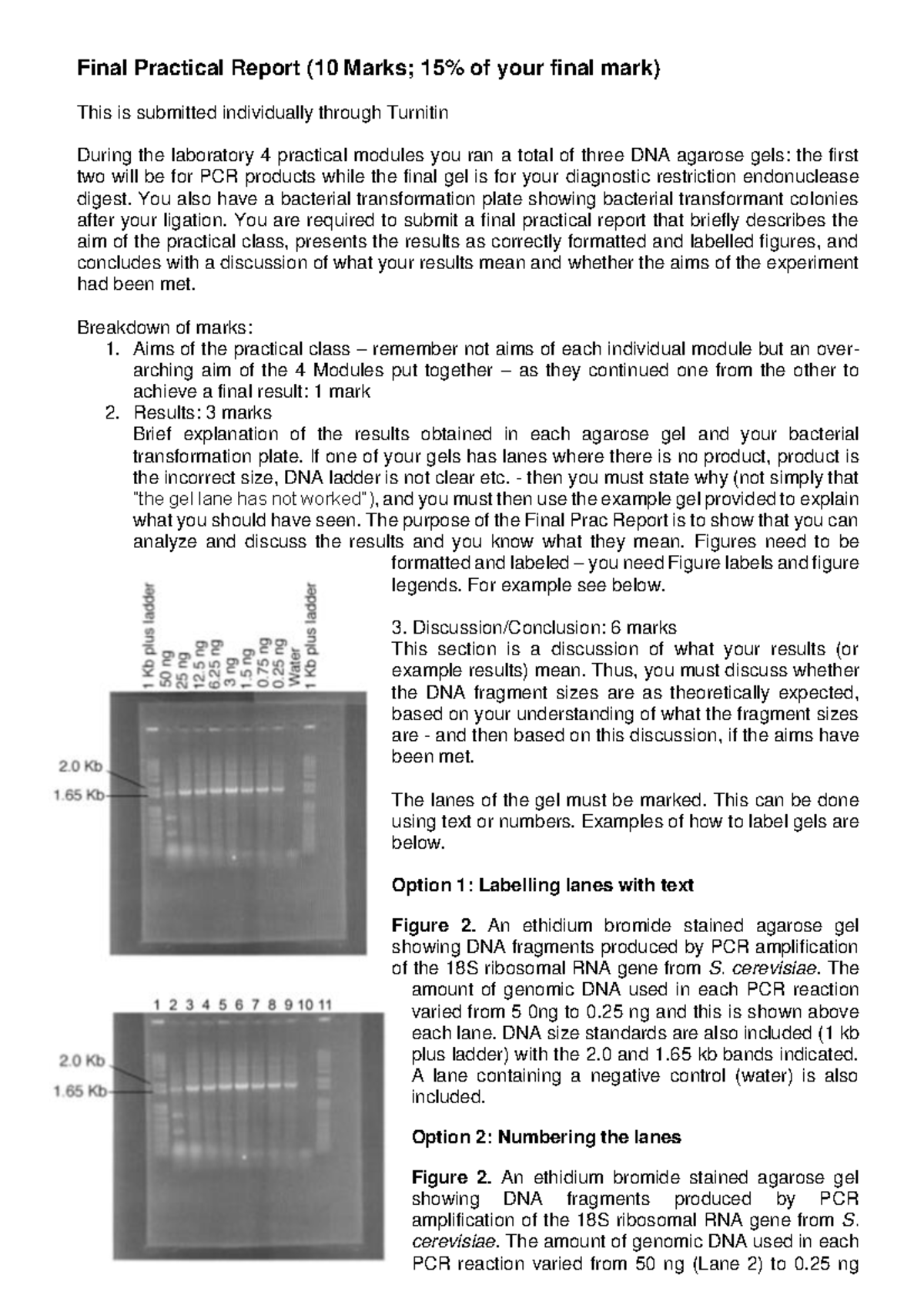 Details Final Practical Report 2022 - Final Practical Report (10 Marks; 15 % of your final mark ...