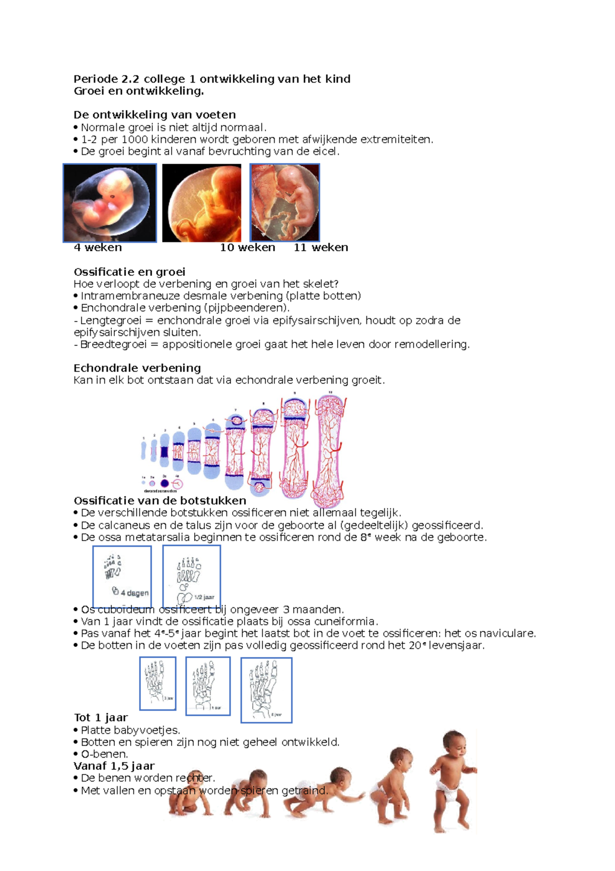 College 1 ontwikkeling van het kind - Periode 2 college 1 ontwikkeling ...