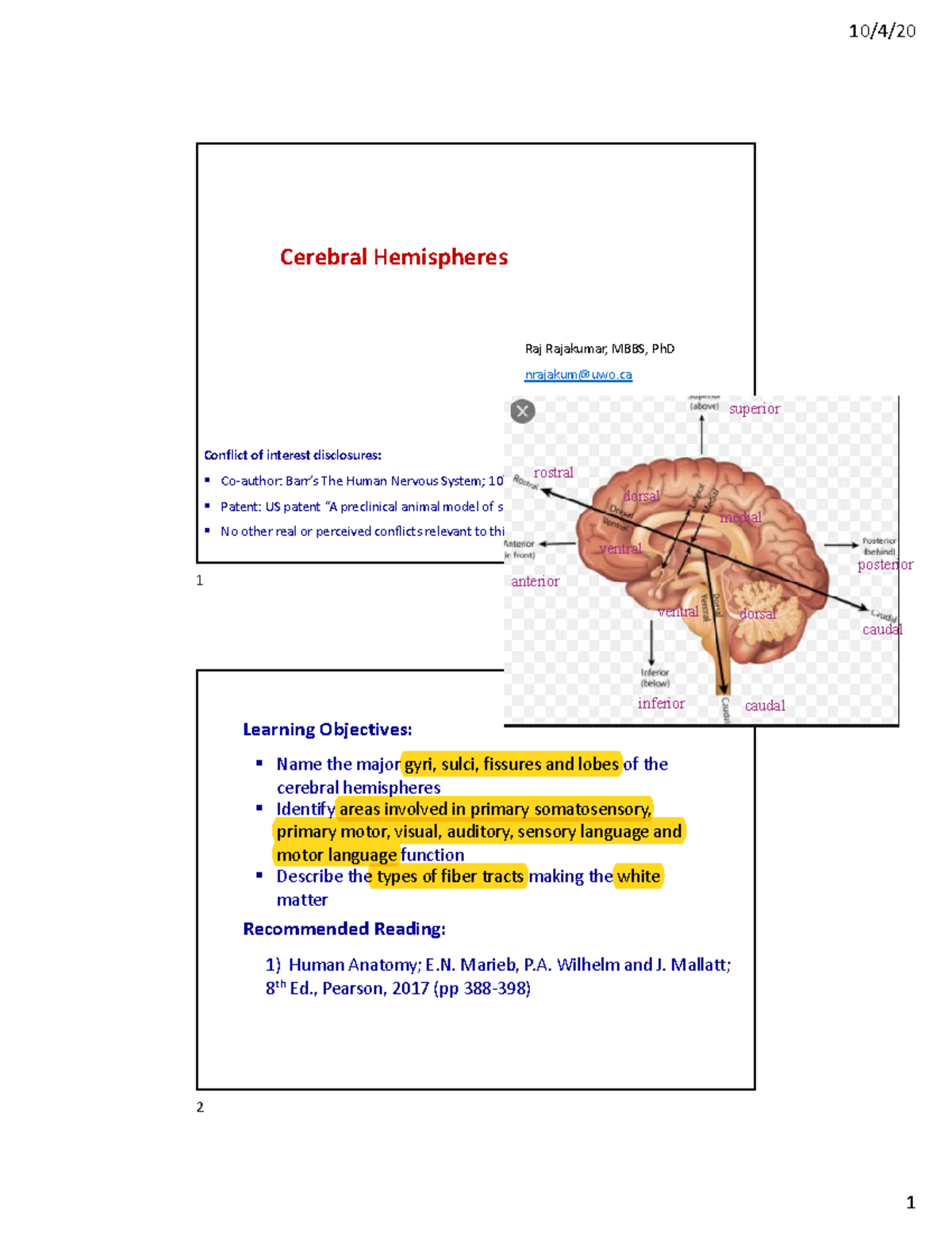L8 - Cerebral Hemispheres - Cerebral Hemispheres Raj Rajakumar, MBBS ...