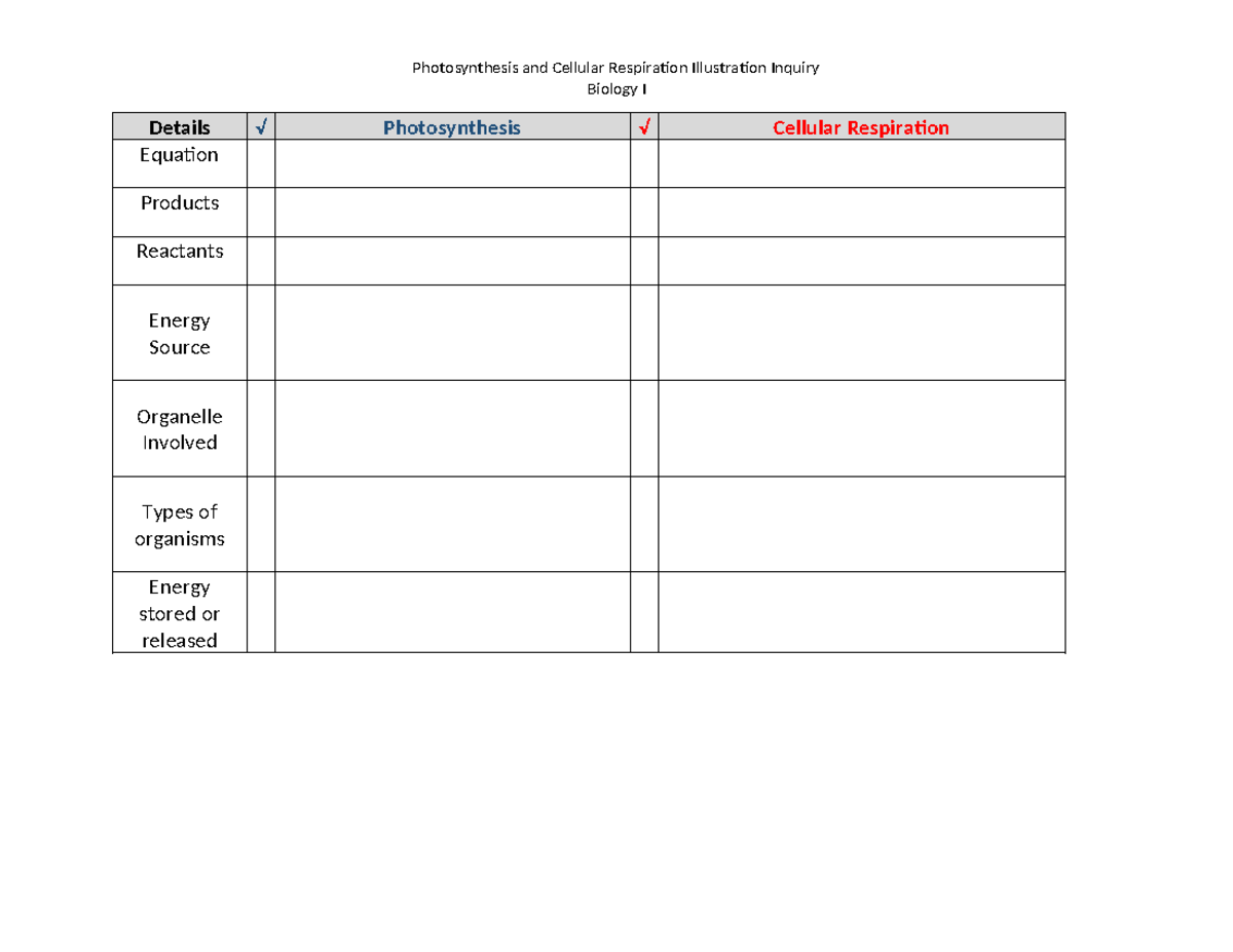 Photosynthesisand Cellular Respiration Illustration Inquiry - BSC2011 ...
