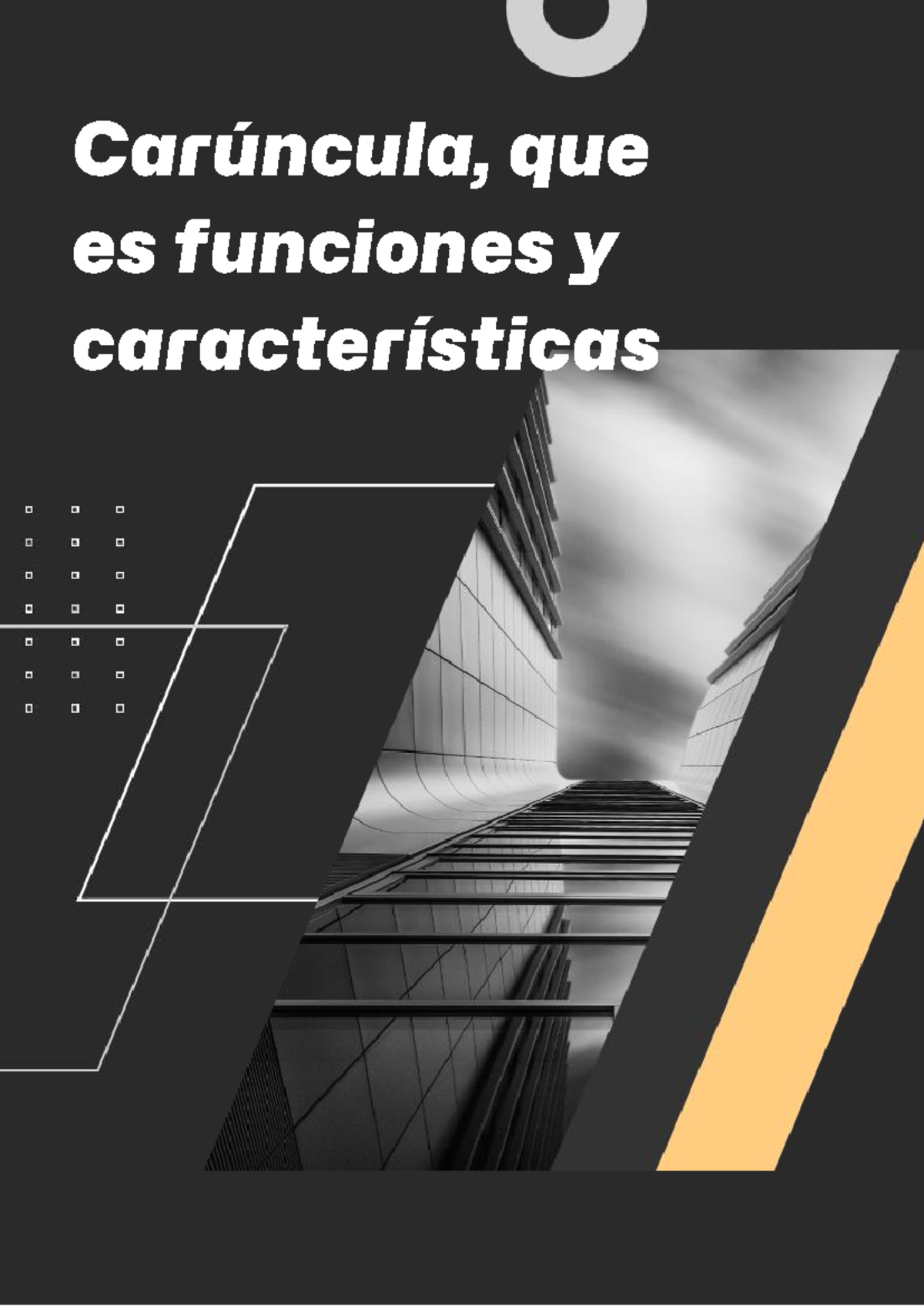 Caruncula - Carúncula, que es funciones y características ¿QUE ES LA ...