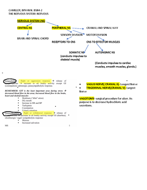 Gen 4 - ans - Module #4 Student Activity Sheet Name: - Studocu