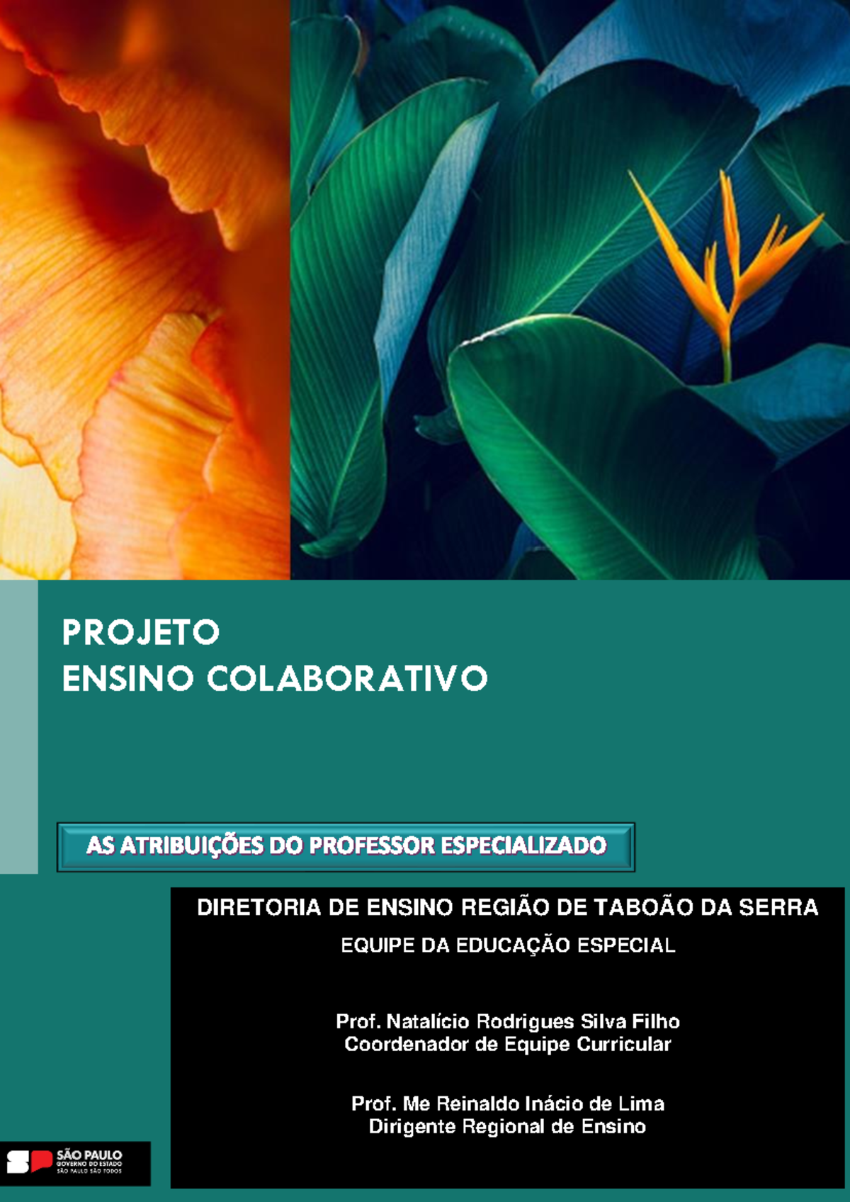 Projeto Ensino Colaborativo Documento Orientador - PROJETO ENSINO ...