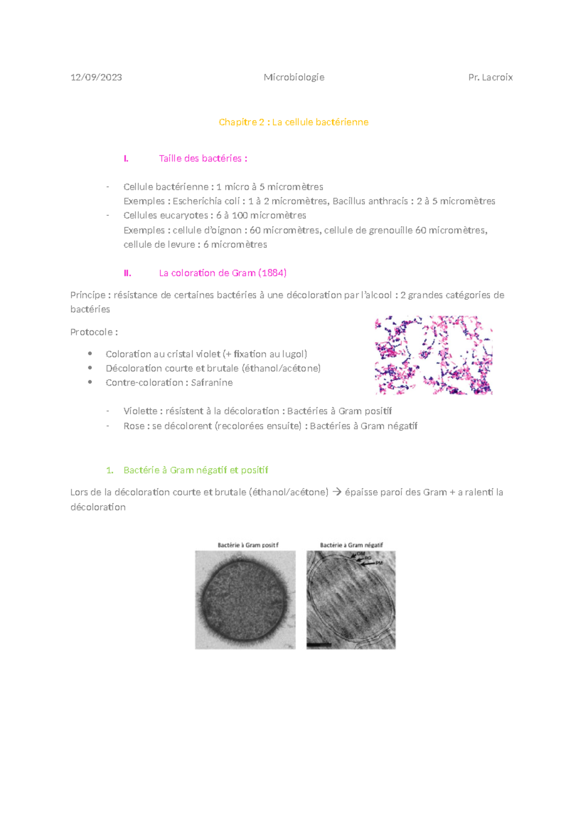 Chapitre 2 La cellule bactérienne - 12/09/2023 Microbiologie Pr. Lacroix Chapitre 2 : La cellule ...
