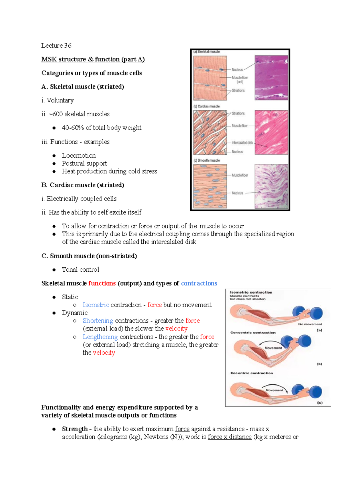 MSK structure function (part A) - Lecture 36 MSK structure & function (part A) Categories or ...