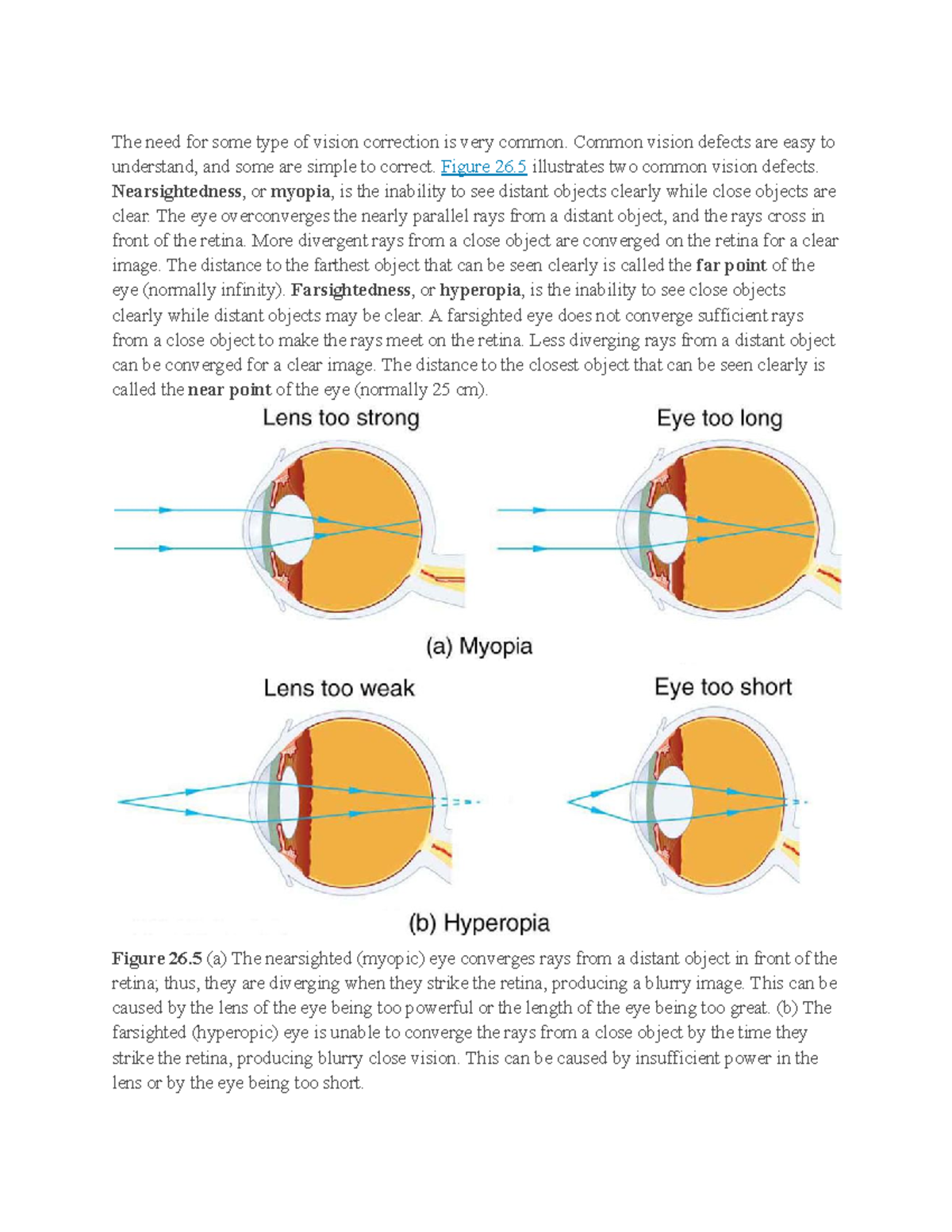 Lesson Note on Vision Correction - The need for some type of vision ...