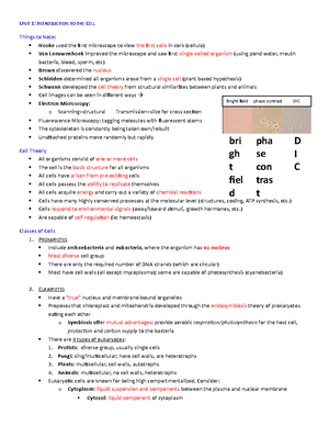 Cell Signaling MCQ - Chapter 11 Multiple Choice Practice Test Multiple ...