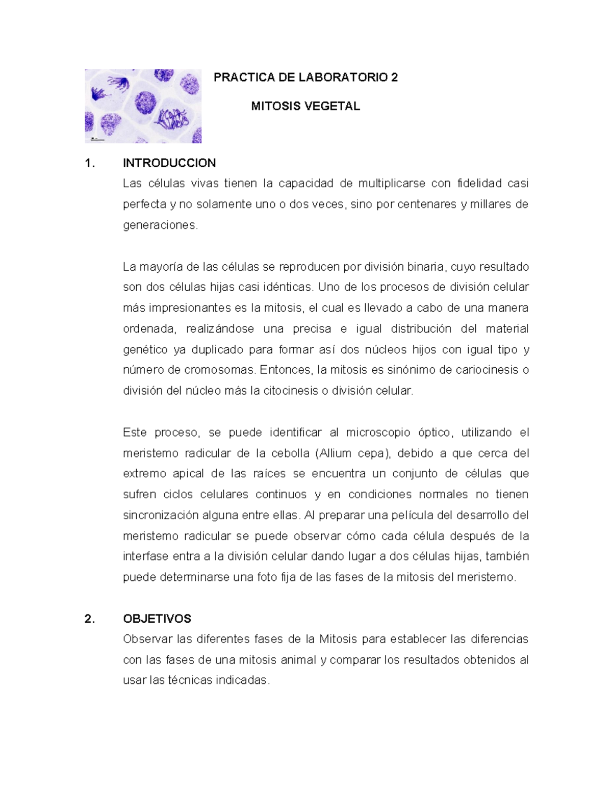 Practica DE Laboratorio 2 Mitosis Vegetal - PRACTICA DE LABORATORIO 2 MITOSIS VEGETAL 1. - Studocu