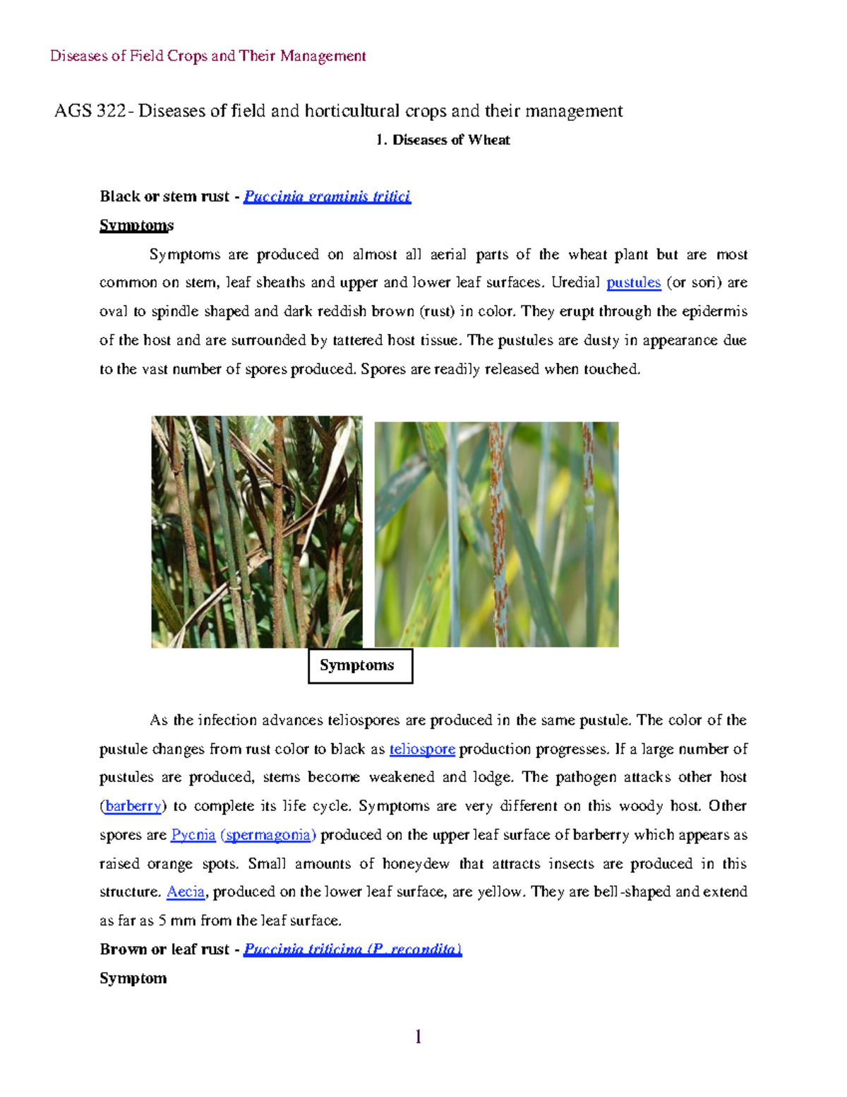 AGS 322 -Diseases-of-Field-Crops-and-Their-Management - 1 AGS 322- Diseases of field and - Studocu