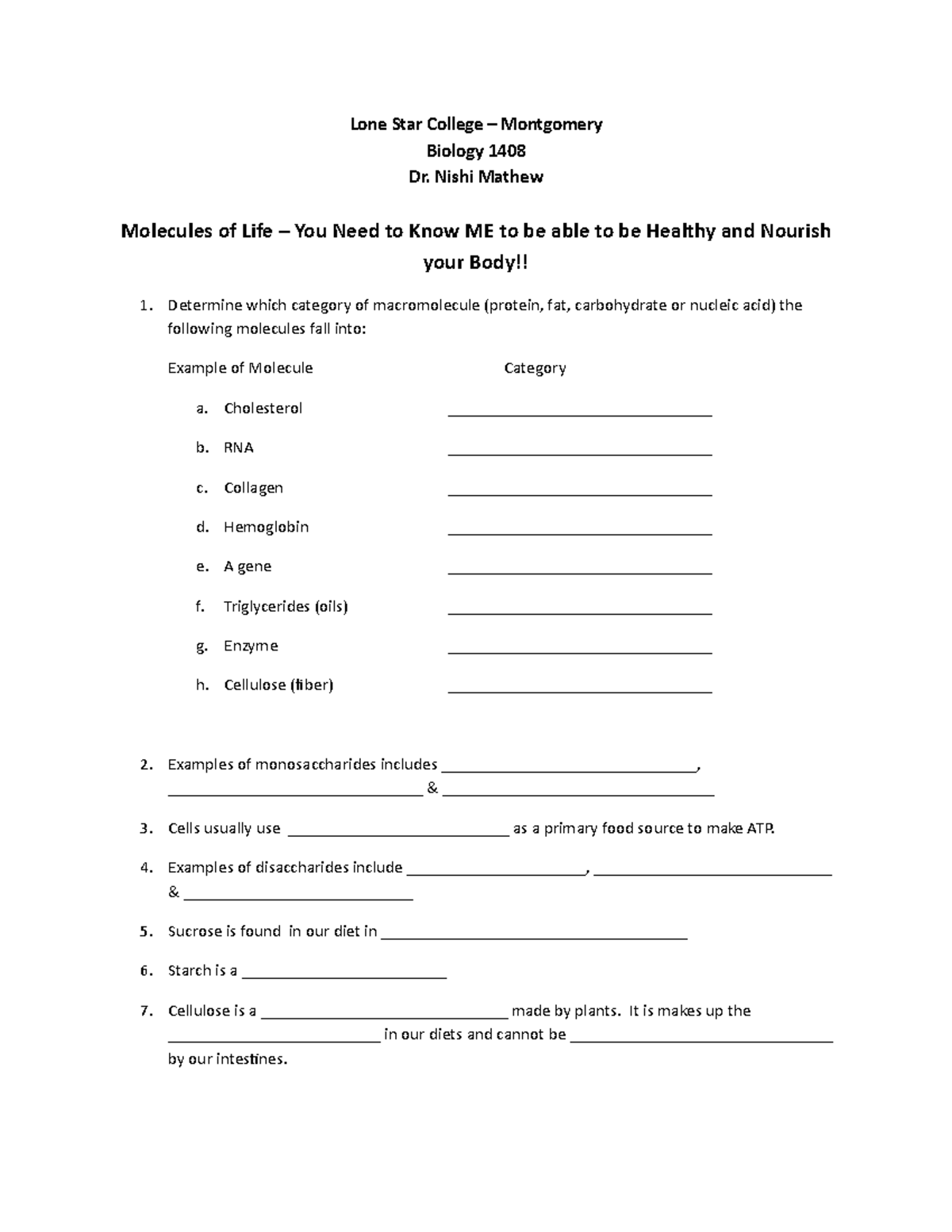Molecules of Life: worksheet - Lone Star College – Montgomery Biology ...