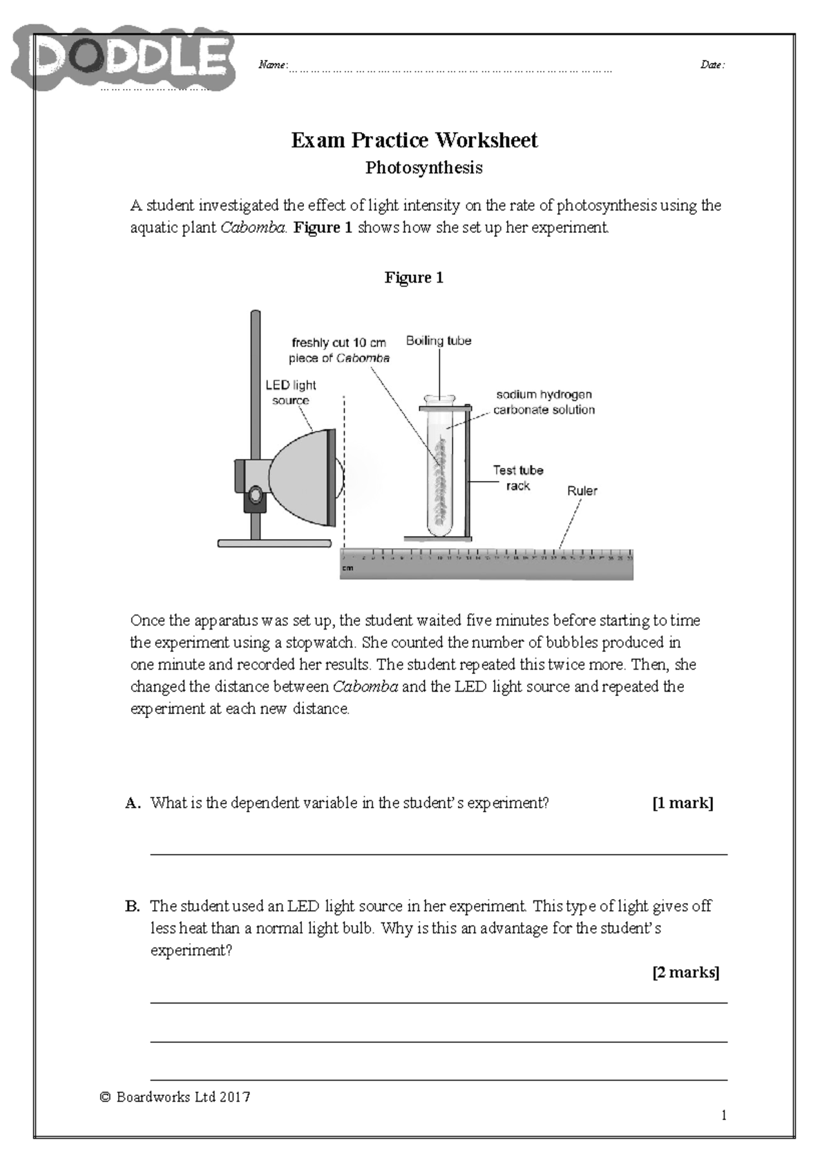 - RP - Photosynthesis Exam Q Worksheet - - Studocu