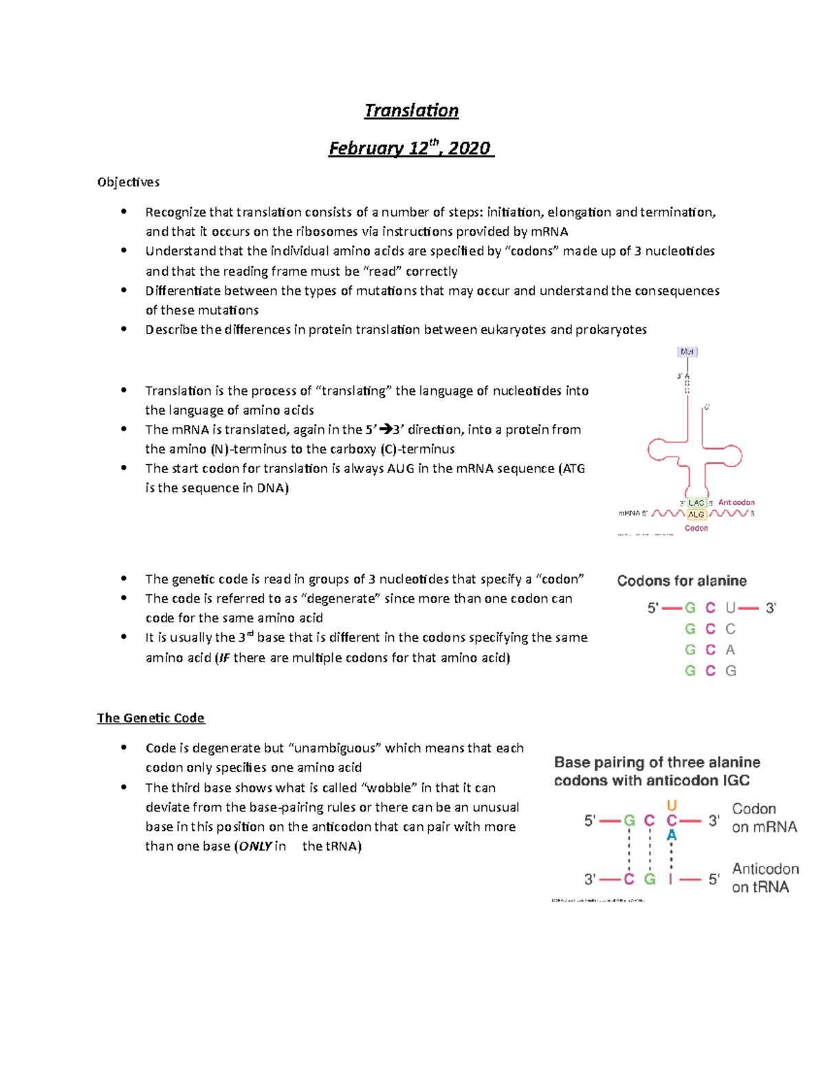Translation Notes from ppt - Translation February 12 th , 2020 ...