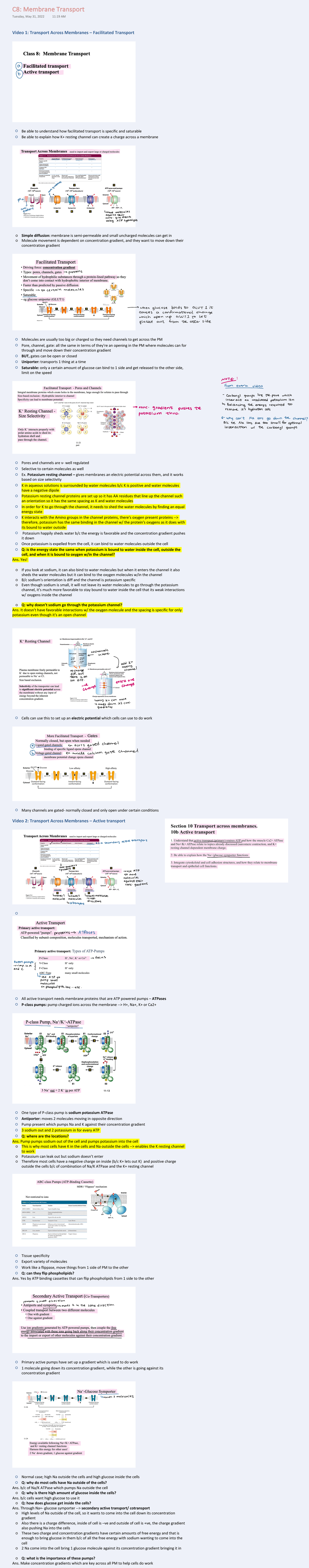 C8 Membrane Transport - summer 2022 - Video 1: Transport Across ...