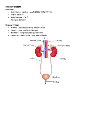 Ch 3 activities - Medical Terminology - Chapter 3 38 Chapter 3 MULTIPLE ...