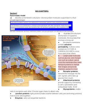 BIO 1050 chapter 4 Notes - BIO CHAPTER 4 NOTES Section In a light ...