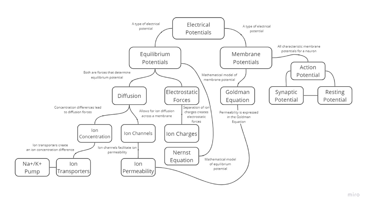 Concept Map - Potentials - NSCI 1051 - Studocu