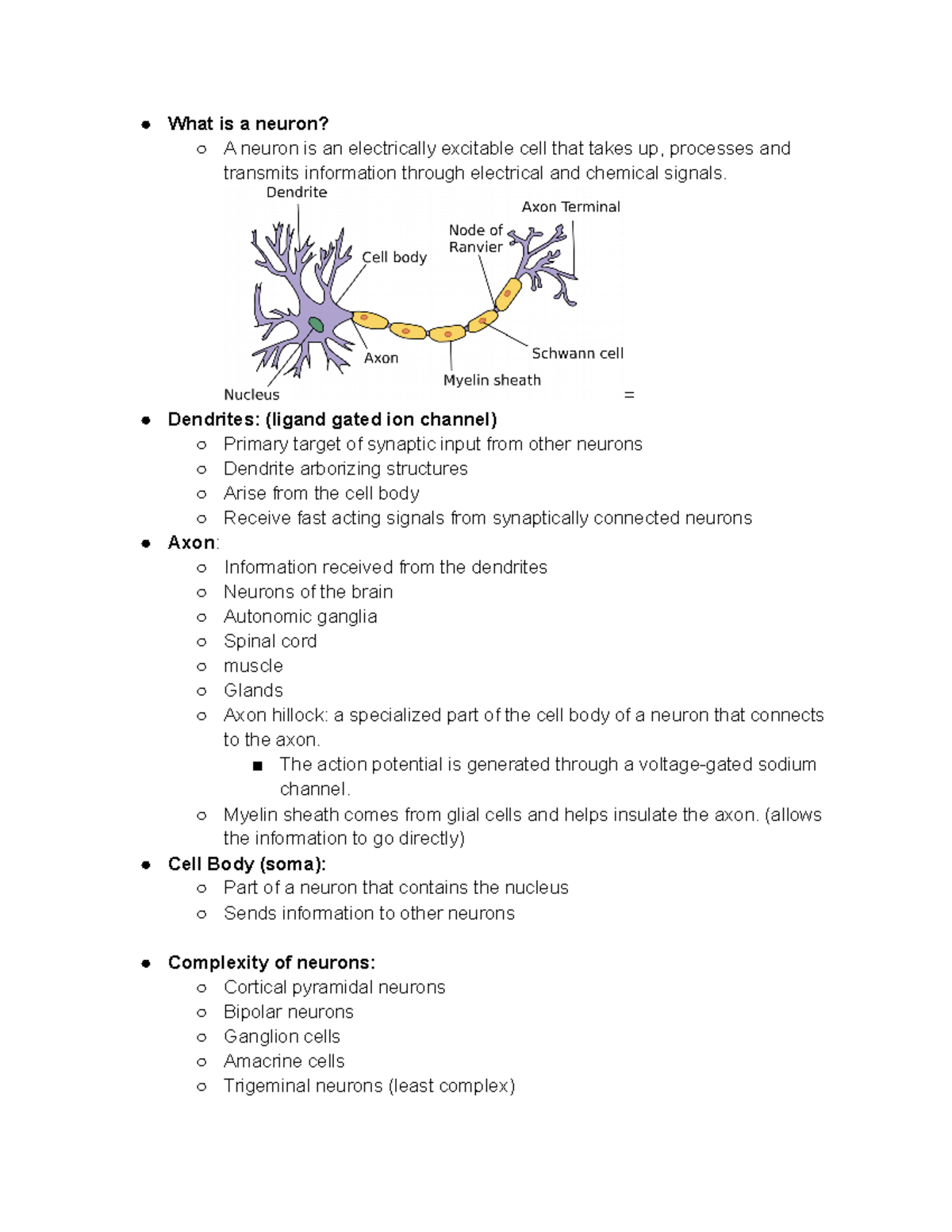 Neurobiology- study guide #1 - What is a neuron? A neuron is an ...