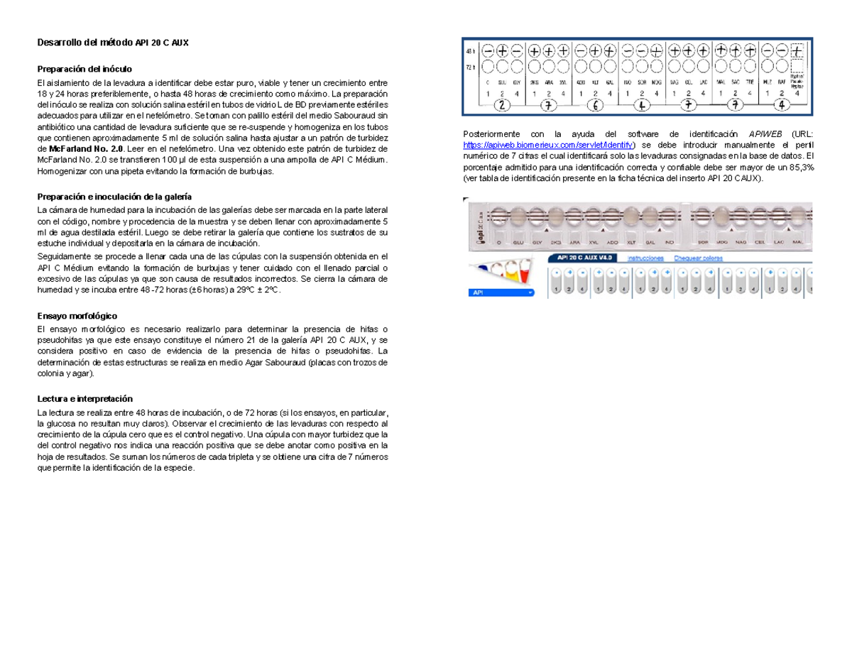 API - Sistema API - Desarrollo del método API 20 C AUX Preparación del ...